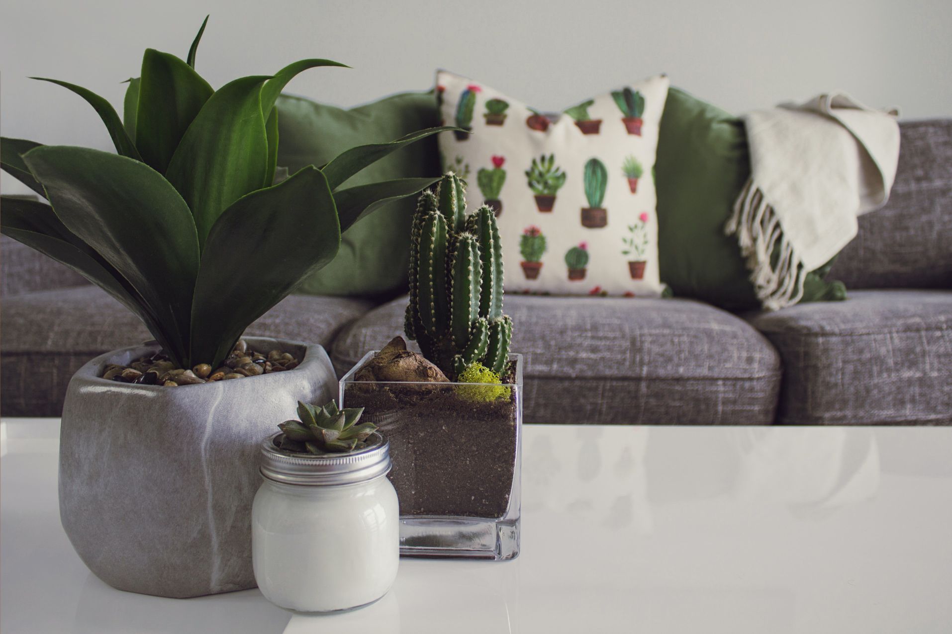 Interior Designing At Low Cost Greentechinteriors